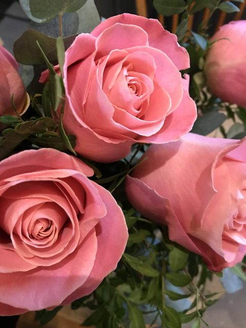 Twelve Pink Roses | Cafe des Fleurs | Florist Bouquets Rye, East Sussex